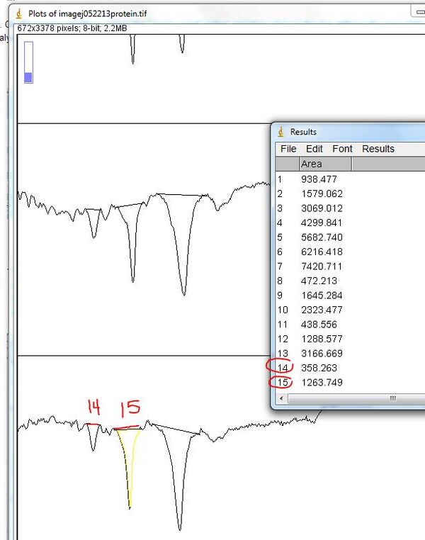 Protein Quantification Using ImageJ - OpenWetWare