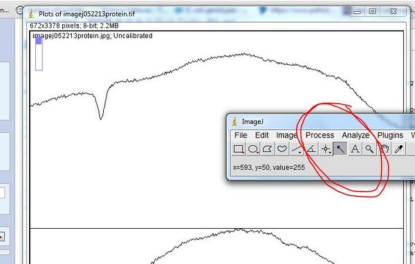 Protein Quantification Using ImageJ - OpenWetWare