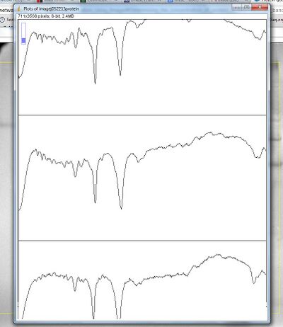 Protein Quantification Using ImageJ - OpenWetWare